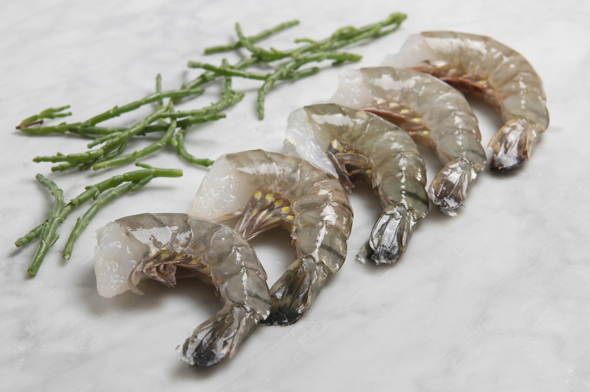 Recept: Gamba op spies | Dirks Vishandel
