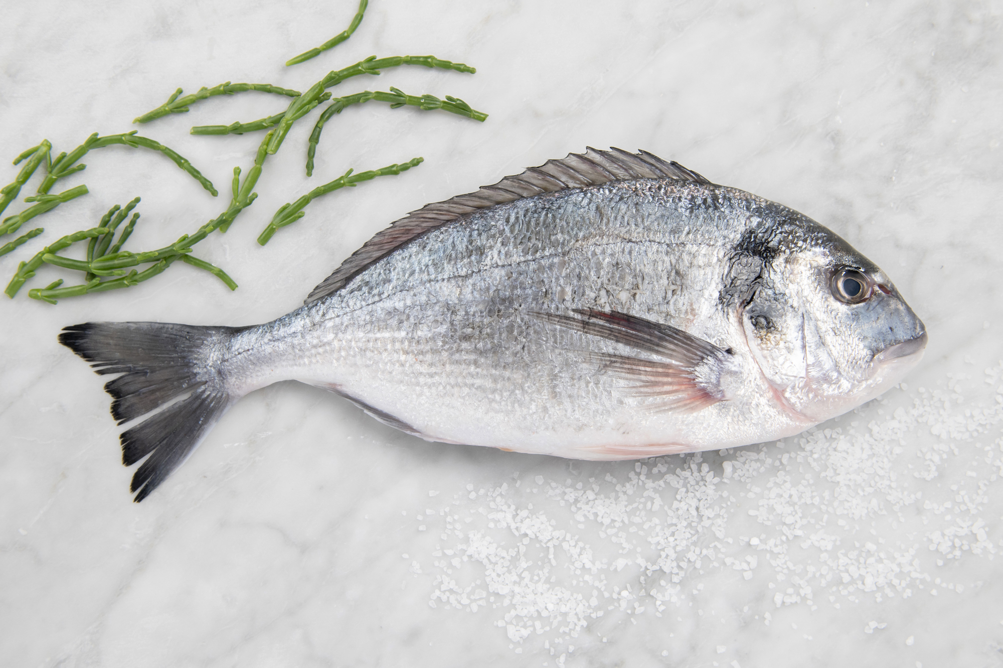 Recept: Hele vis uit de oven met verse kruiden en citroen | Dirks Vishandel