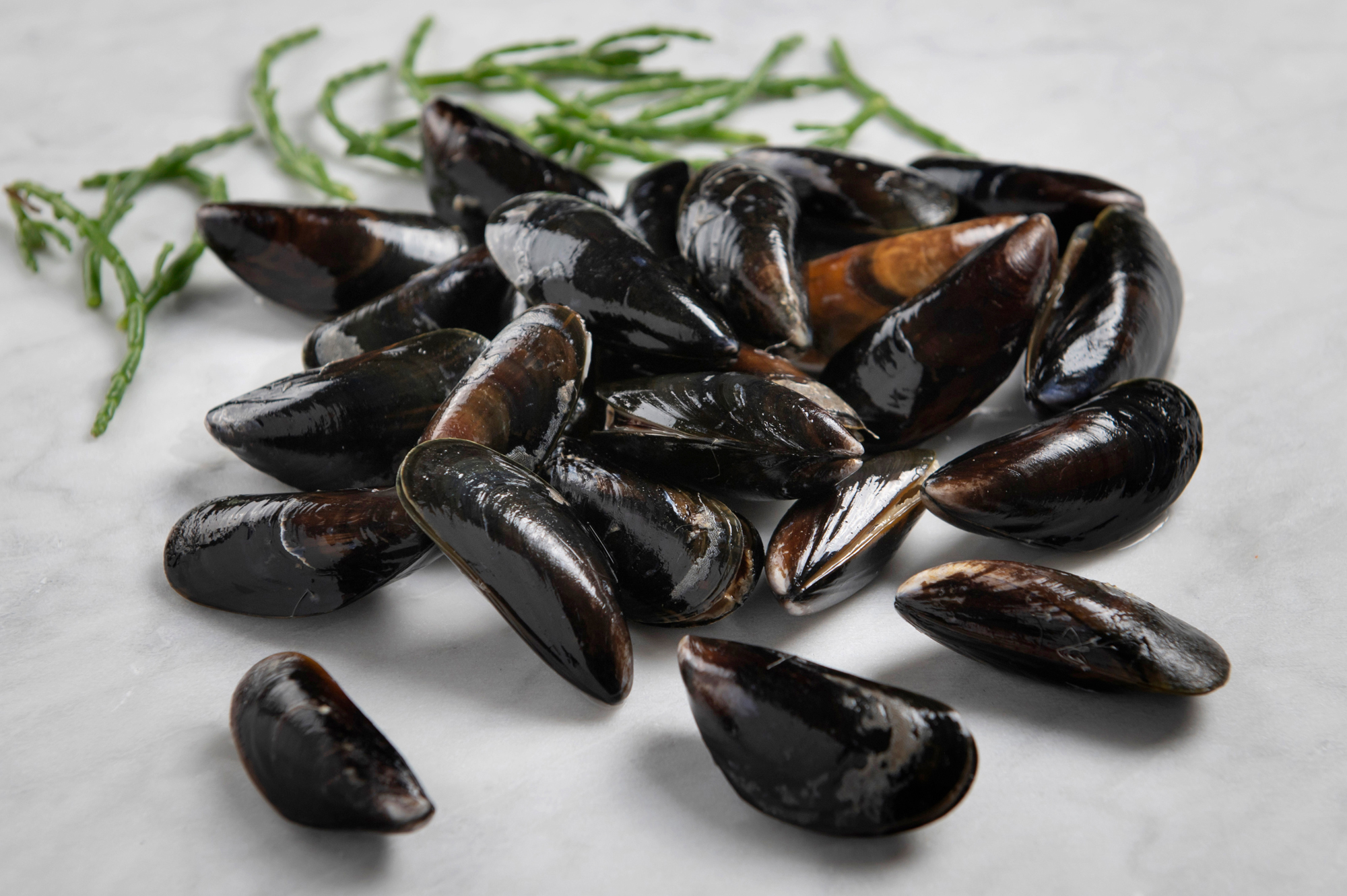 Recept: Pittige Spaanse mosselen | Dirks Vishandel